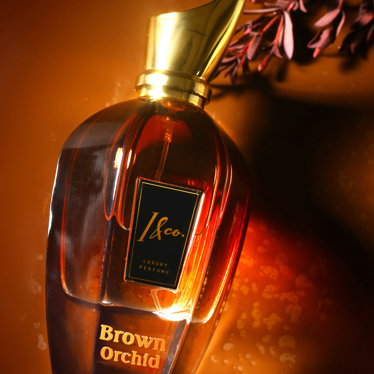 BROWN ORCHID PERFUME FOR UNISEX – IANDCO